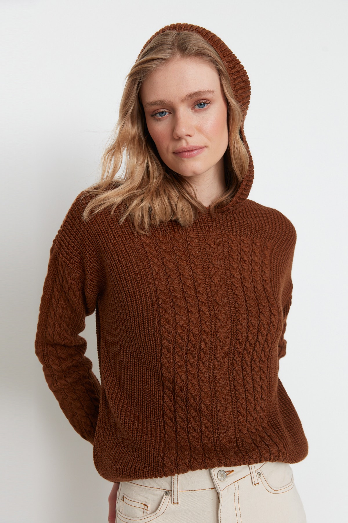 Trendyol Brown Knit Detailed Hooded Sweater Pullover