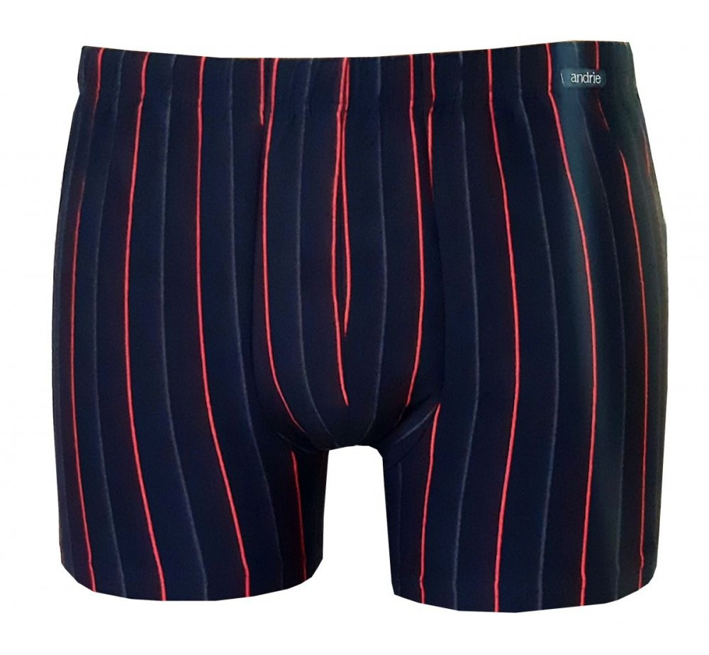 Men's boxers Andrie black (PS 5587 A)