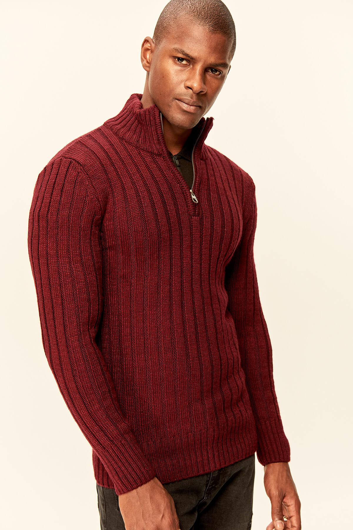 Trendyol Maroon Men Sweater-Zip Turtleneck